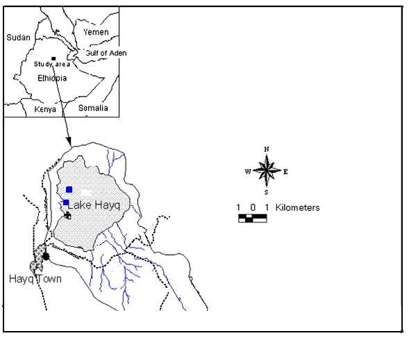 The food and feeding ecology of Nile tilapia, Oreochromis niloticus, in ...